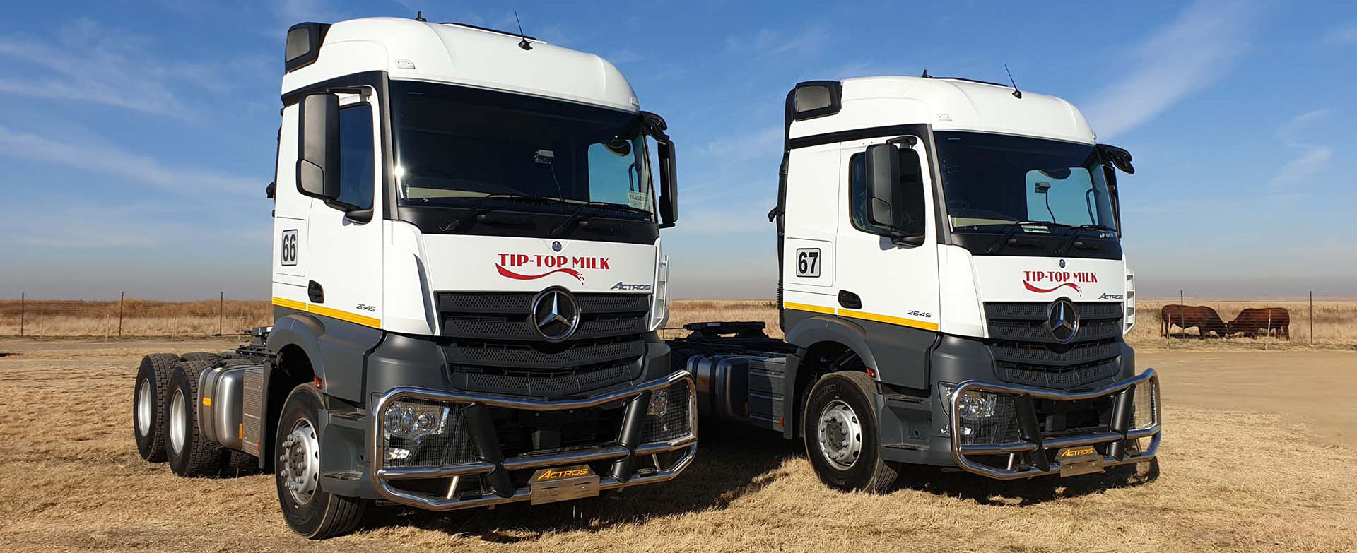 Tip-Top Milk - Home Page